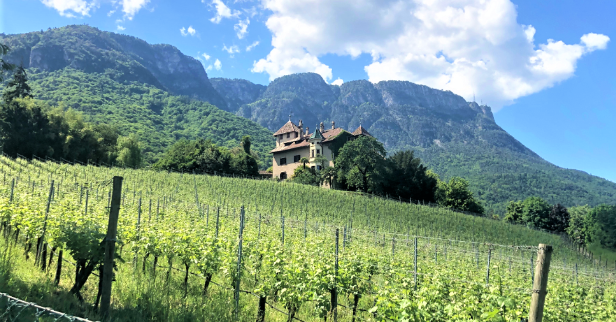The absolute summer highlights of Bolzano and environs!